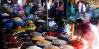 Chichicaste: Plants of Guatemala to Avoid - OkAntigua.com