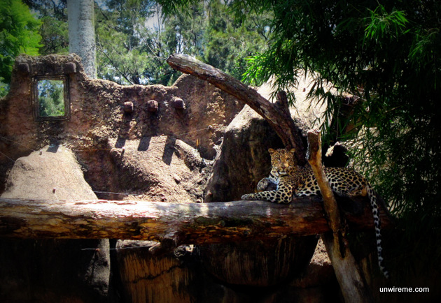 La Aurora Zoo, Guatemala City: 2018 Visitors Guide - OkAntigua