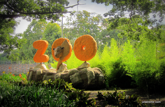 La Aurora Zoo, Guatemala City: 2018 Visitors Guide - OkAntigua